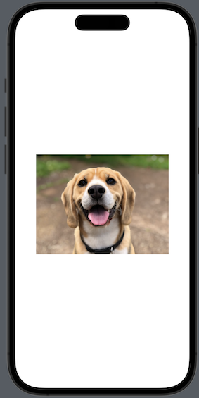Swiftui Asyncimage Asynchronous Image Loading